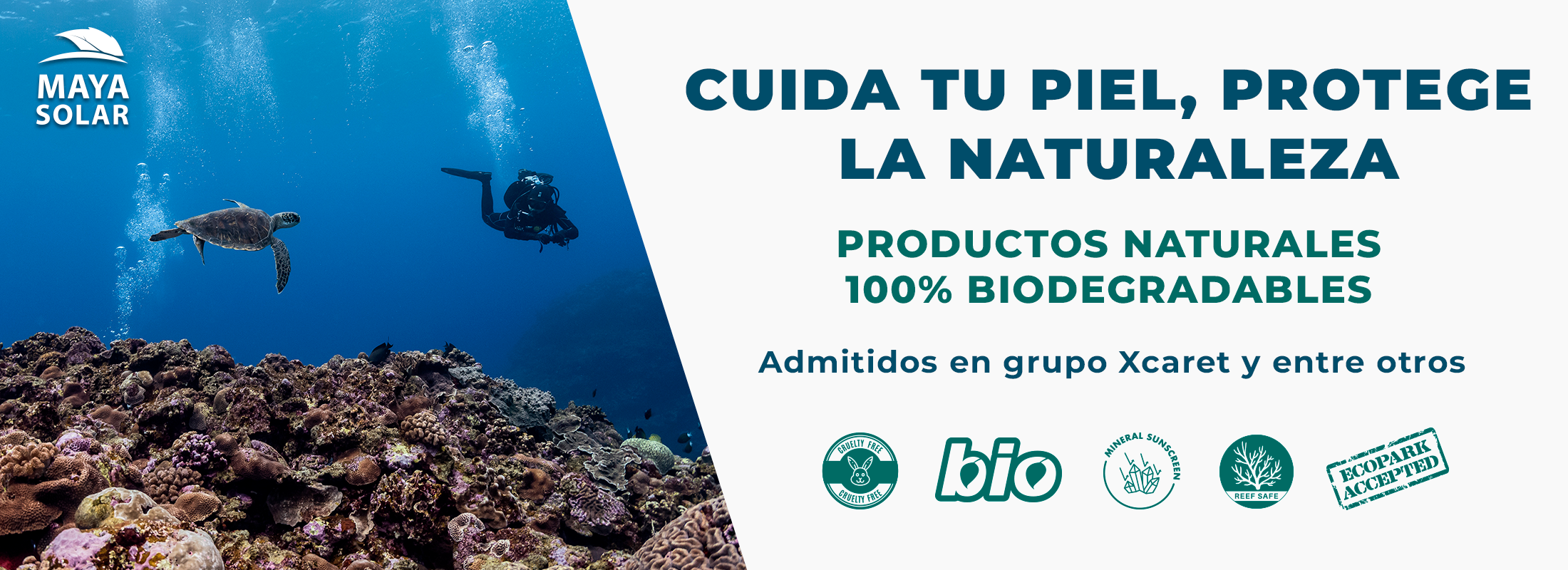 mayasolar.mx – Maya Solar